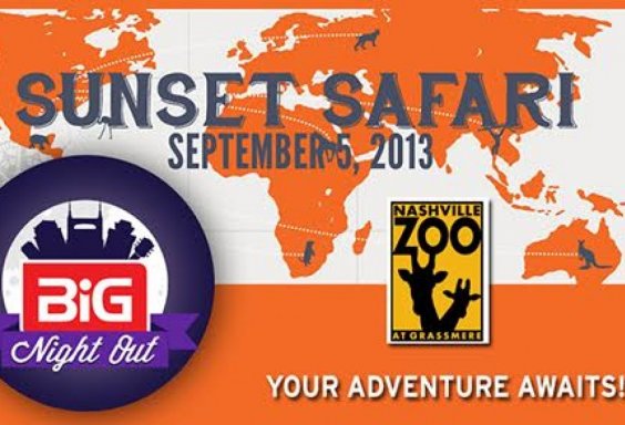 BIG Night Out: Sunset Safari - Big Visual Group
